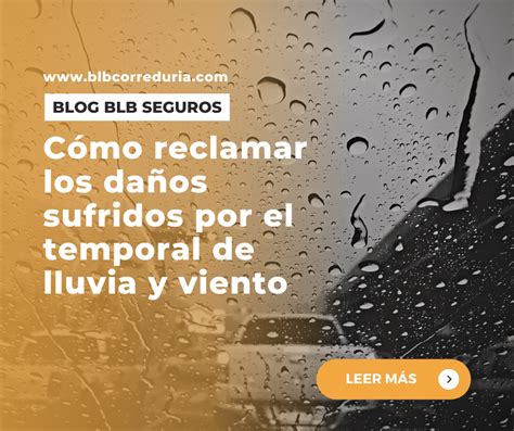 Cómo Reclamar Al Seguro Los Daños Sufridos Por El Temporal De Lluvia Y