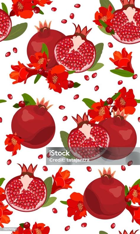완벽 한 패턴 석류 과일과 흰색 바탕에 씨앗 신선한 유기농 식품 레드 루비 과일 패턴입니다 벡터 일러스트입니다 0명에 대한 스톡 벡터 아트 및 기타 이미지 Istock
