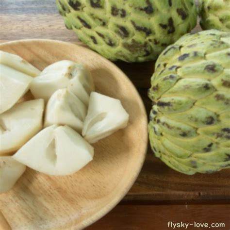 체리모야 Cherimoya 특징 영양성분 효능 활용법 부작용