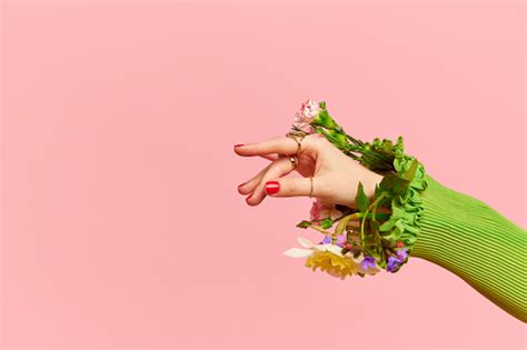 분홍색 스튜디오 배경 위에 소매 안에 꽃을 들고 있는 우아한 여성의 손으로 있는 초상화 근접 촬영 봄 패션 위크 개념에 대한