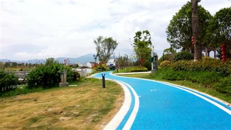 文明城市 你我共建丨九龙河社区：绿水相伴 生态宜人 资讯中心 龙港网