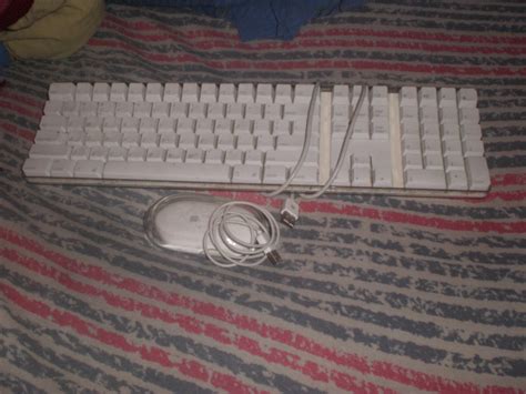Mac Keyboard Usb Plus Optical Mouse Mac Usb Ciechocinek Kup Teraz