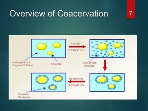 Coacervation Phase Separation Techniques