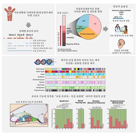 서울대병원 난청 돌연변이 발견 및 한국인의 난청 유전자 지도 구축”
