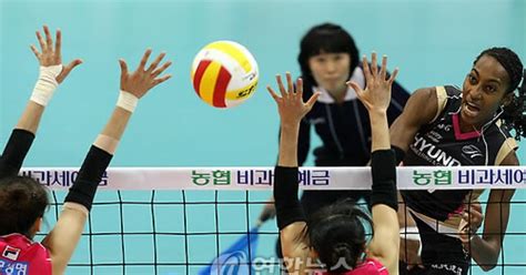 손과 손 사이에 볼