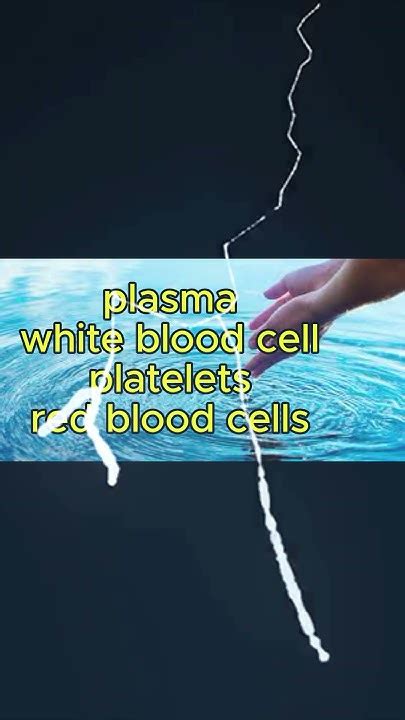 Improtance Of Water Make 90 Precent Plasam Youtube