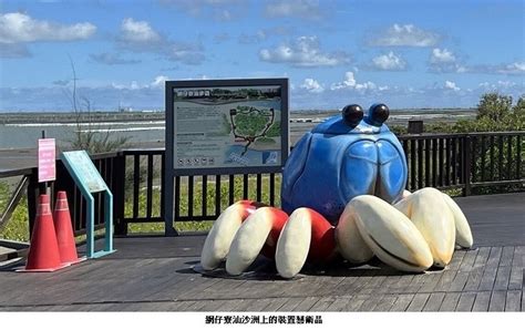七股潟湖風光與現烤生蚵體驗之旅 遊客建議促進觀光產業發展