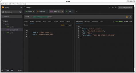 Bruno An Outstanding Open Source Alternative To Postman Let S Keep Coding Something Up