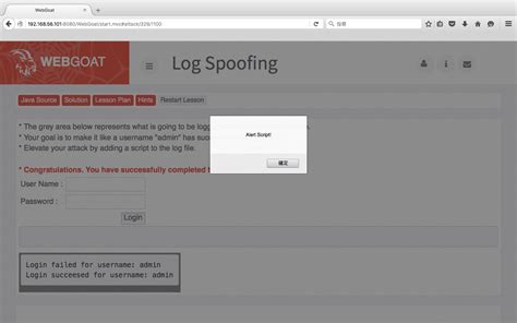 Injection Flaws Log Spoofing