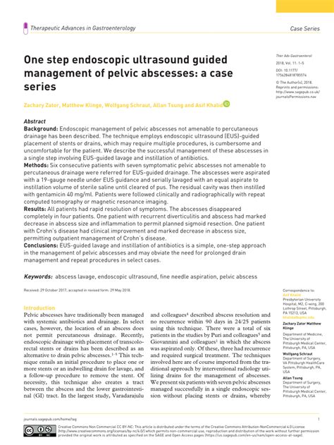 Pdf One Step Endoscopic Ultrasound Guided Management Of Pelvic