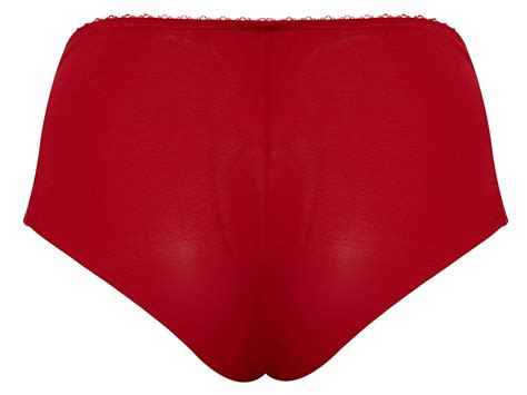 Panache Jasmine Deep Brief Berry Burst Lumingerie Bras And Underwear