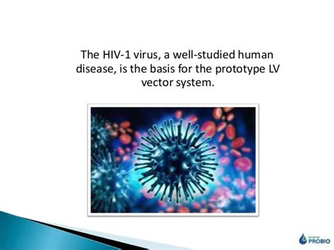 What Is Lv Vector Systemspptx