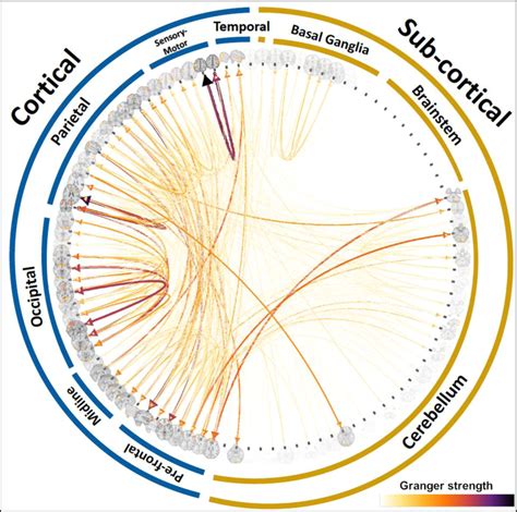 Upper Quartile Across Connections Of Median CG Strength Across