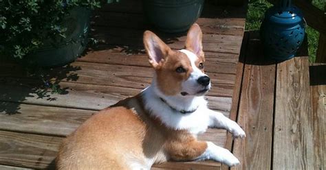 Fun In The Sun Imgur