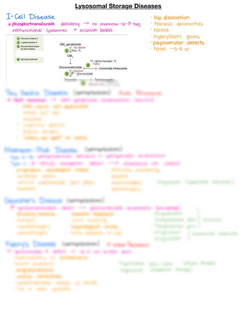 Solution Lysosomal Storage Diseases Notes Study Guide Studypool