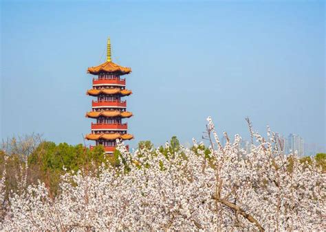 离谱！徐州直奔30℃！强冷空气：等我出手气温天气气象