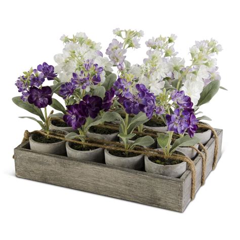 Mini Potted Delphinium Vintage Crossroads