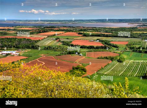 Viewing The Annapolis Valley And The Minas Basin From The Look Off In