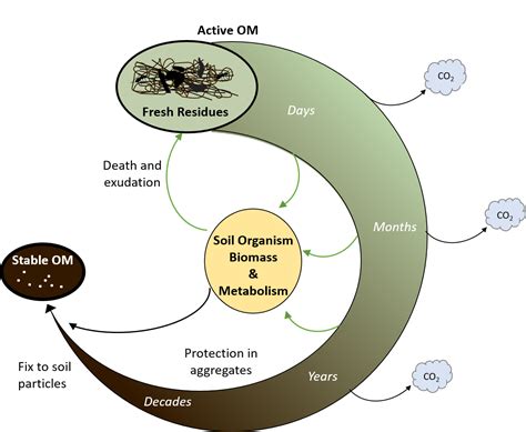 Soil Organic Matter In Cropping Systems