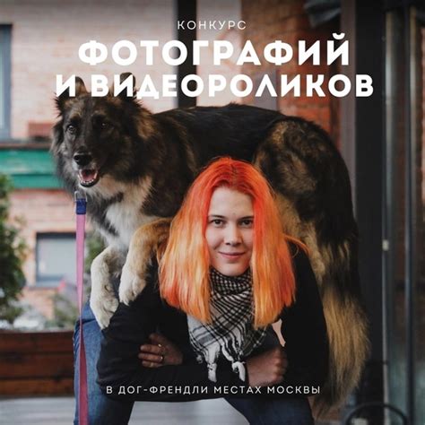 Фонд «Собаки которые любят объявляет конкурс фотографий и