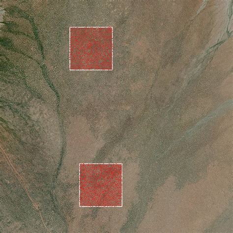 Fig A2 Aerial Image Of The Two Digitized Giribes Plots G1 And G2 The
