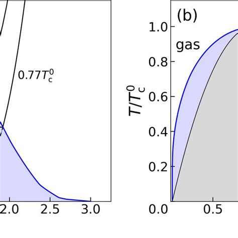 a phase diagram of the mean field model in the n p plane within