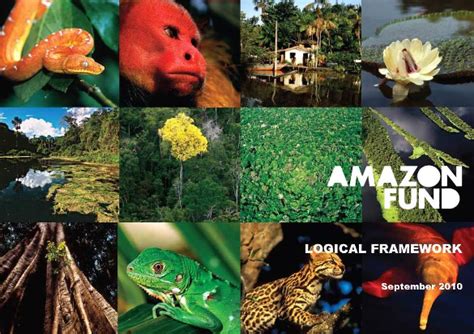 Amazon Fund Logical Framework Alnap