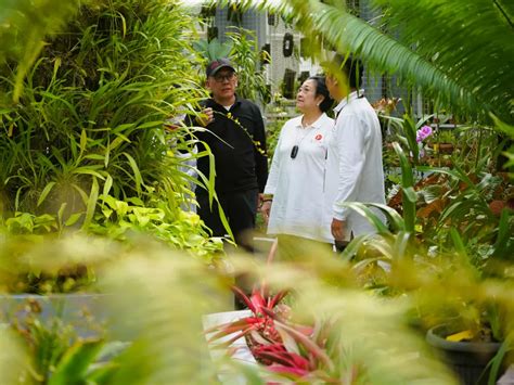 Momen HUT Ke 206 Kebun Raya Bogor Megawati Resmikan Rumah Kaca Anggrek