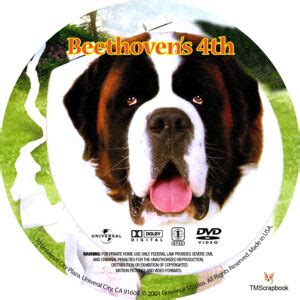 Beethovens 4th Dvd Label 2001 R1 Custom