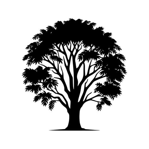 Premium Vector Tree Silhouette Editable Vector Illustration Isolated