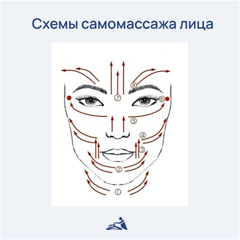 Схема массажа лица Massaggio