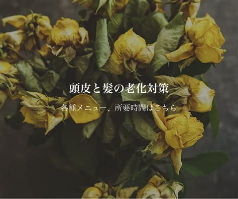 白髪が一本だけ生えるのはなぜ？同じ箇所に生えてくるメカニズムとは？ Andgray頭皮ケア薄毛対策and白髪対策専門美容室