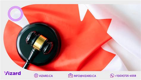 Procedural Fairness Vizard Ca