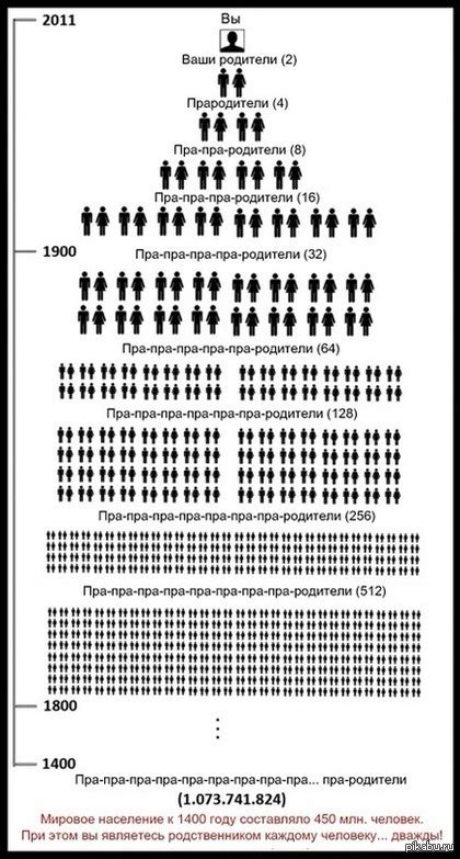 Для братьев и сестер Пикабу