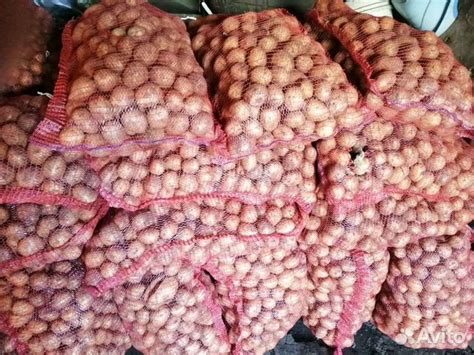Продам картофель с доставкой купить в Прокопьевске Товары для дома и дачи Авито