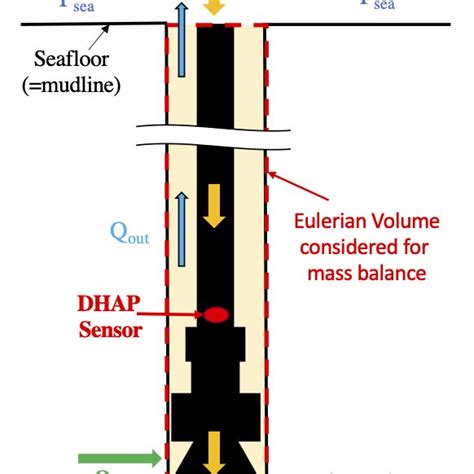 Schematics Of The Eulerian System On Which Mass Balance Was Conducted Download Scientific