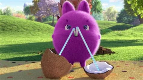 Sunny Bunnies Time To Learn 2020 — The Movie Database Tmdb