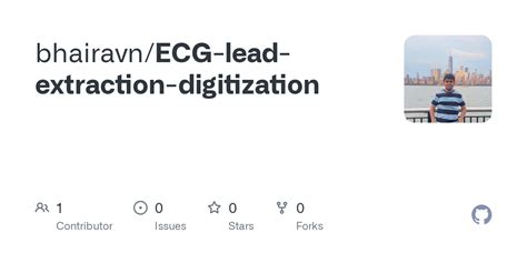 Github Bhairavnecg Lead Extraction Digitization