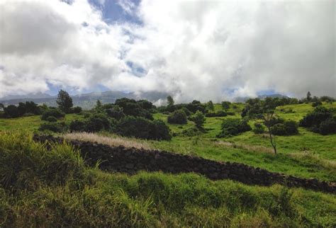 Uomo Nuovo Cycling The Kula Highway