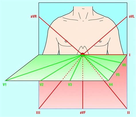 A Sagittal Plane X − Z Plane Frontal Plane Y − Z Plane And