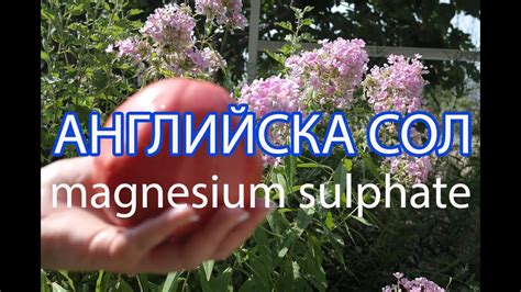 Еп 5 Полезни за хората и растенията в градината английска сол Youtube