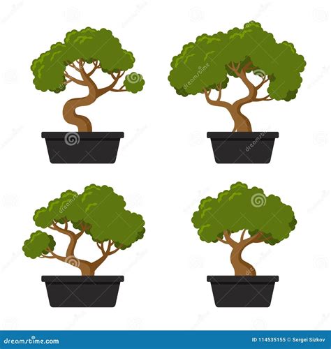Bonsai Tree In A Pot Japanese Art Of Growing Miniature Trees Vector