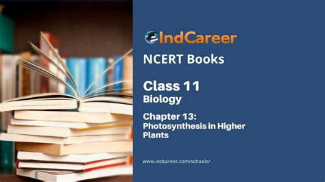 NCERT Book For Class Biology Chapter Photosynthesis
