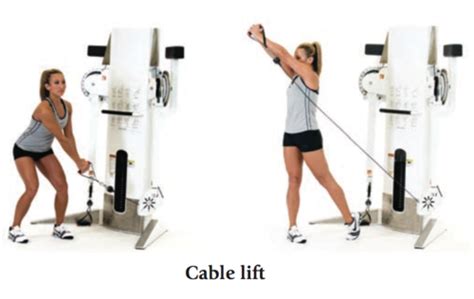 Section Exercise Technique And Training Instruction Flashcards Quizlet