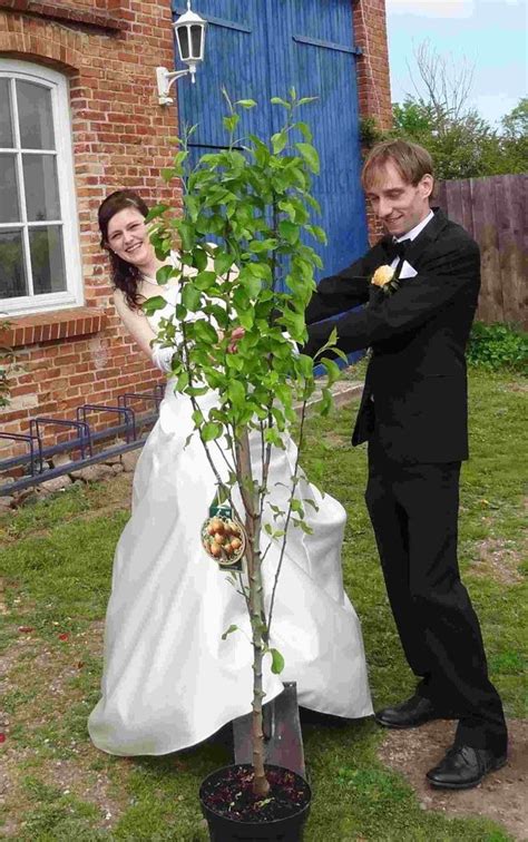 OA Hochzeitsbaum Obstarche Reddelich