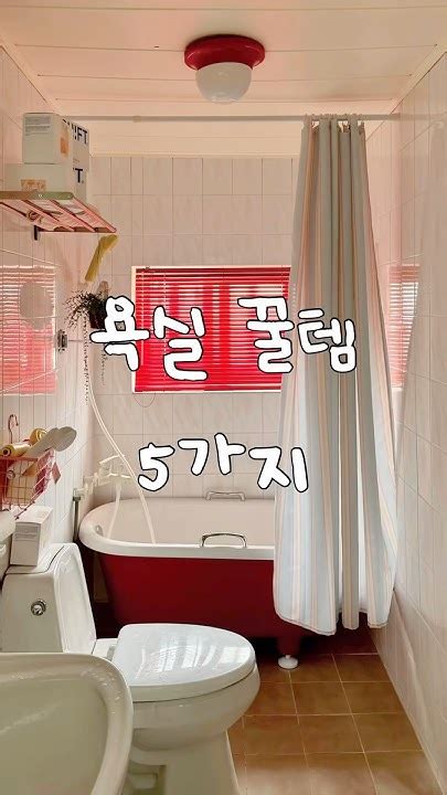 예쁘면서 실용적인 욕실 꿀템 5가지 Youtube