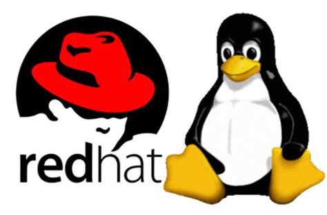 Red Hat Spruces Up 2011s Enterprise Linux With Rhel 6 6 Beta • The Register