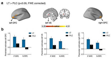 Losartan Modulation On Rpe Related Neural Response A Comparison Of Download Scientific