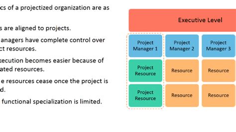 Organization Structure Projectized Organization