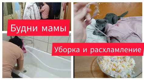 УБОРКА И ГОТОВКА/РАСХЛАМЛЕНИЕ/УБОРКА В ВАННОЙ/УБОРКА В КОРИДОРЕ/БУДНИ ...